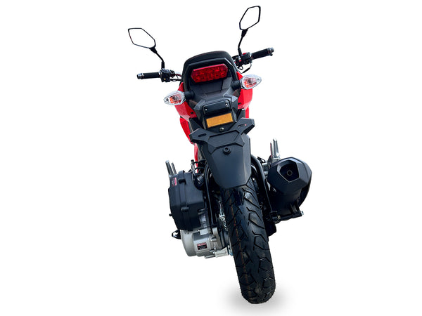 Ice Bear PMZ150-M1 Scooter | MotoBuys
