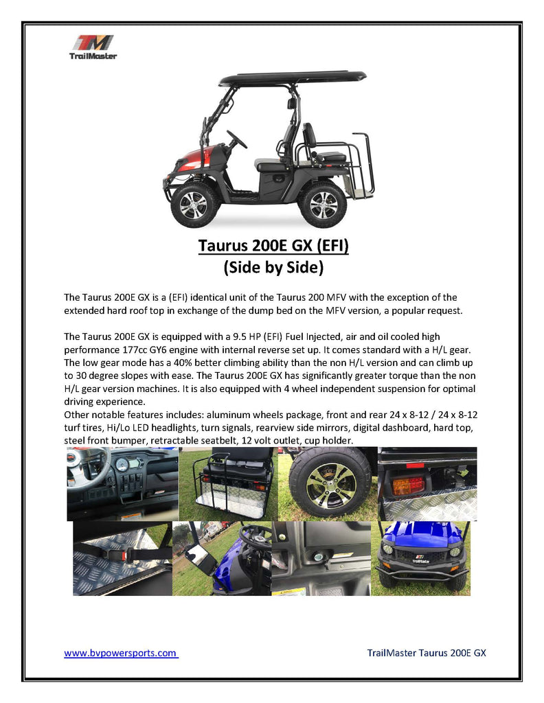 TrailMaster Taurus 200E-GX UTV Fuel-Injection-System Golf cart extende