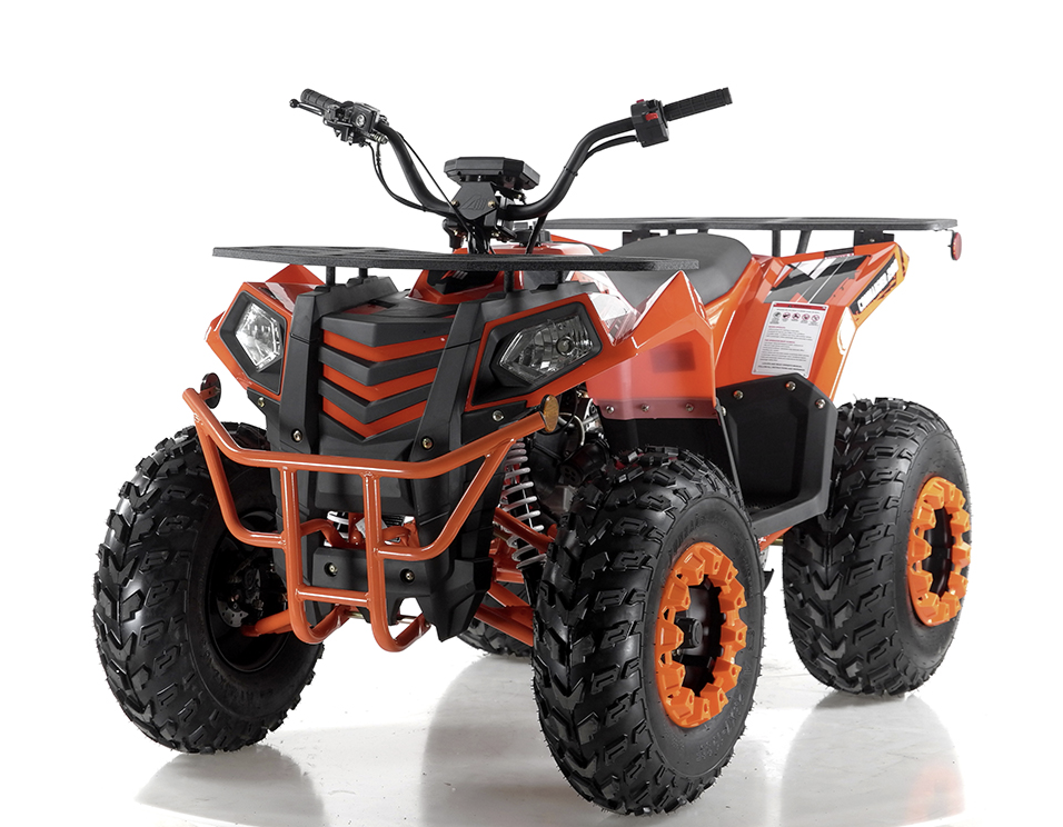 Apollo Commander 200,174cc Fully, Automatic with Reverse, Coil Over Sh