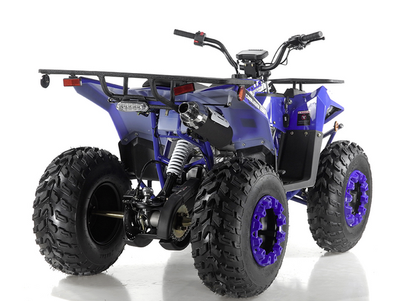 Apollo Commander 200,174cc Fully, Automatic with Reverse, Coil Over Sh