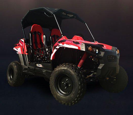 TrailMaster Challenger 200 - 2 Seater UTV | MotoBuys