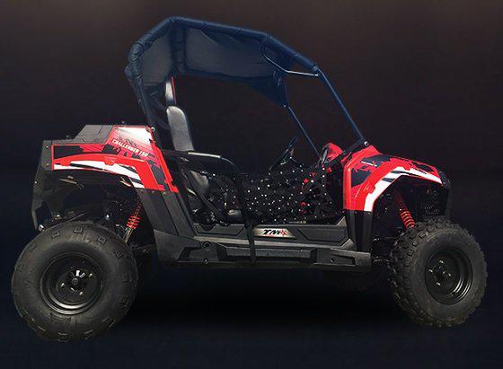 TrailMaster Challenger 200 - 2 Seater UTV | MotoBuys