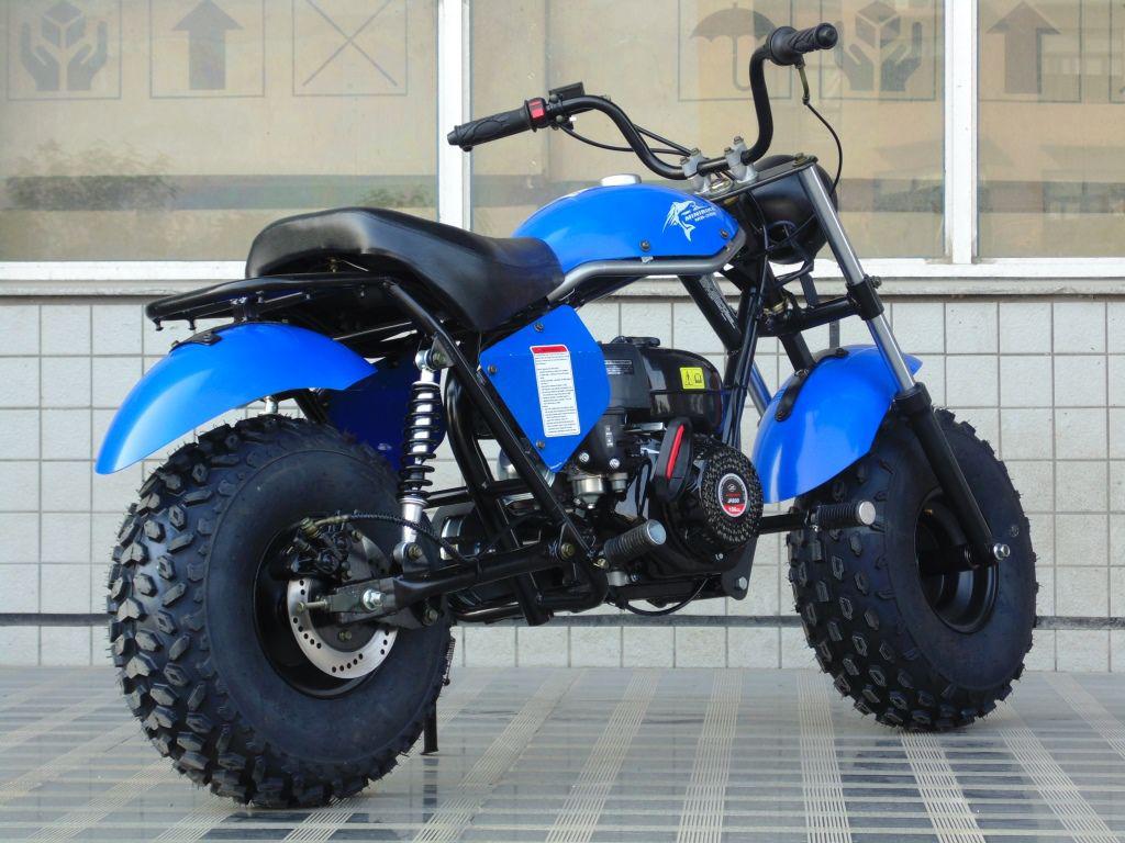 TrailMaster MB200-2 - TrailMaster Minibike | MotoBuys