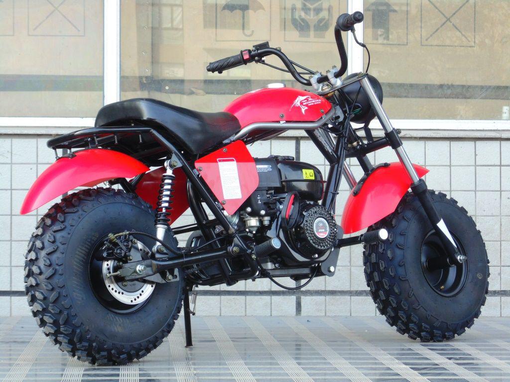 TrailMaster MB200-2 - TrailMaster Minibike | MotoBuys